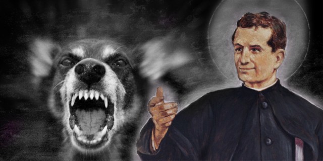 Il cane grigio era davvero l’angelo custode di Don Bosco?
