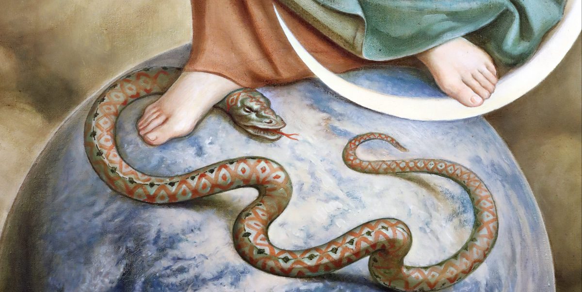 C'è un legame tra il serpente e l'Immacolata. Lo rivela una mistica
